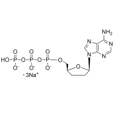 DDNTP Dideoxynucleotide Triphosphates, DDNTP Nucleotide in DNA Sanger ...